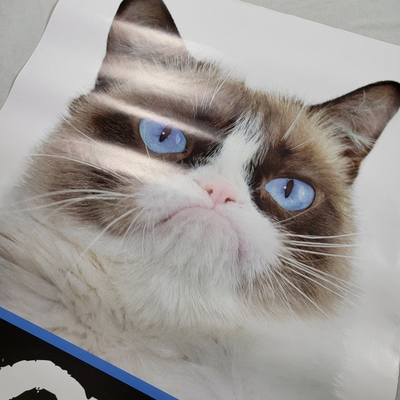 Grumpy Cat | Wall Decor | Grumpy Cat Poster Wall Decor | Poshmark